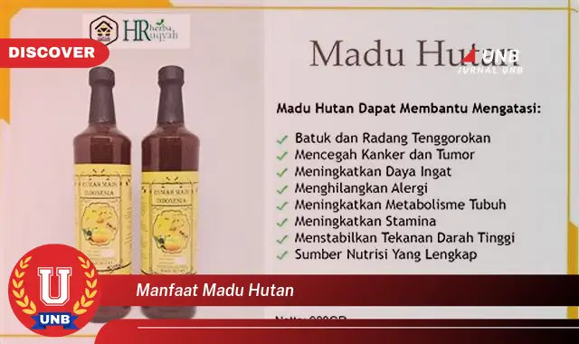Temukan 6 Manfaat Madu Hutan Yang Wajib Kamu Intip