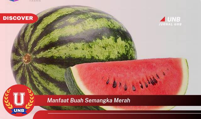 Temukan 9 Manfaat Buah Semangka Merah untuk Kesehatan Anda Temukan 9 Manfaat Buah Semangka Merah untuk Kesehatan Anda