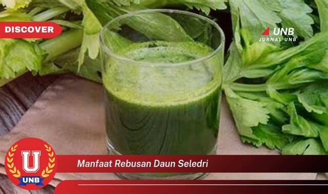 Temukan 10 Manfaat Rebusan Daun Seledri untuk Kesehatan Tubuh Anda Temukan 10 Manfaat Rebusan Daun Seledri untuk Kesehatan Tubuh Anda